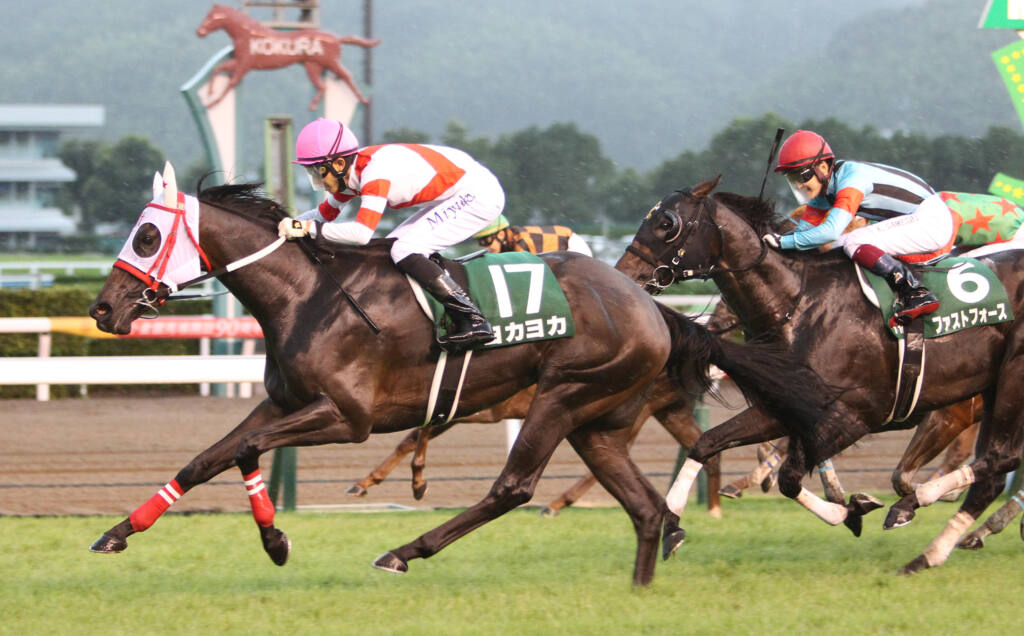 ヨカヨカが競走馬登録抹消 | ニコニコニュース