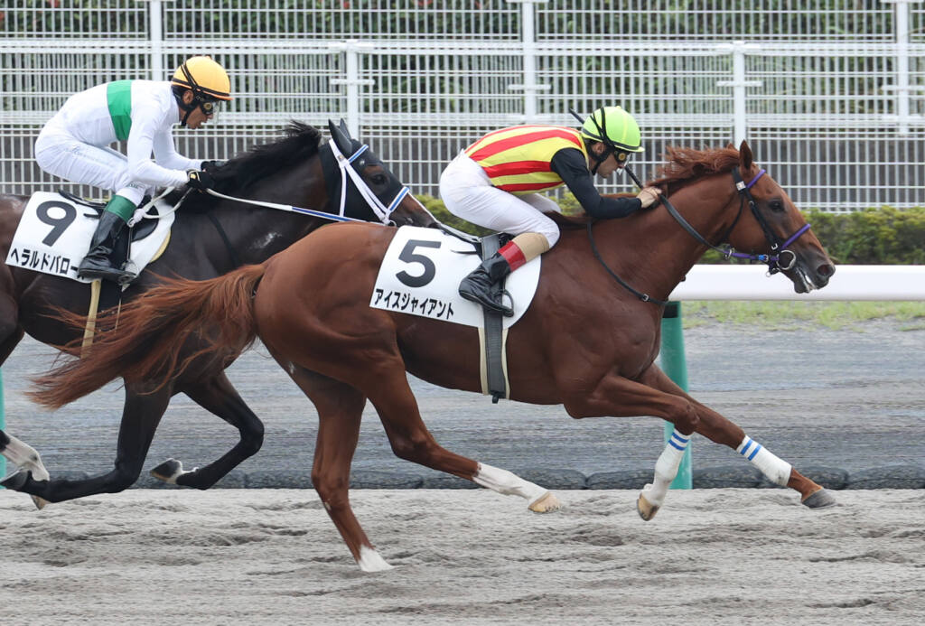 【JBC2歳優駿】JRA出走予定馬 | ニコニコニュース