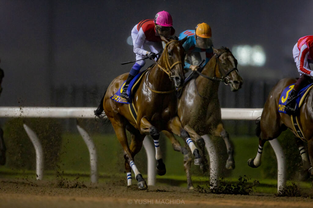 【TCK女王盃】JRA出走予定馬 | ニコニコニュース