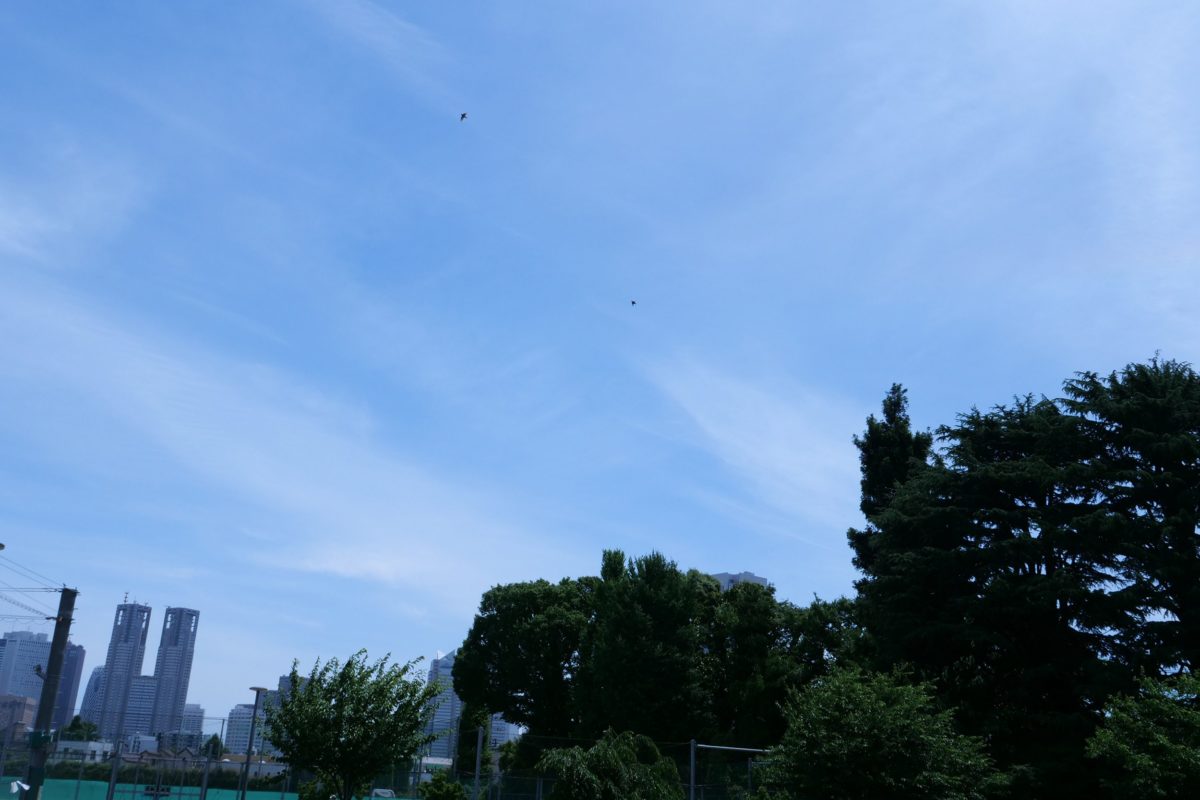 仕事終わりのビールにも危険が…？ 医師に聞いた熱中症に潜む「意外なリスク」 | ニコニコニュース