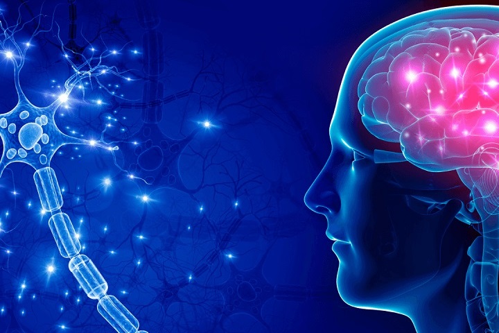 習慣的な運動はシナプス可塑性を活性化する？運動学習との関係 | ニコニコニュース