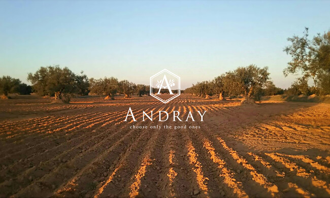 ANDRAY（アンドレイ | ニコニコニュース