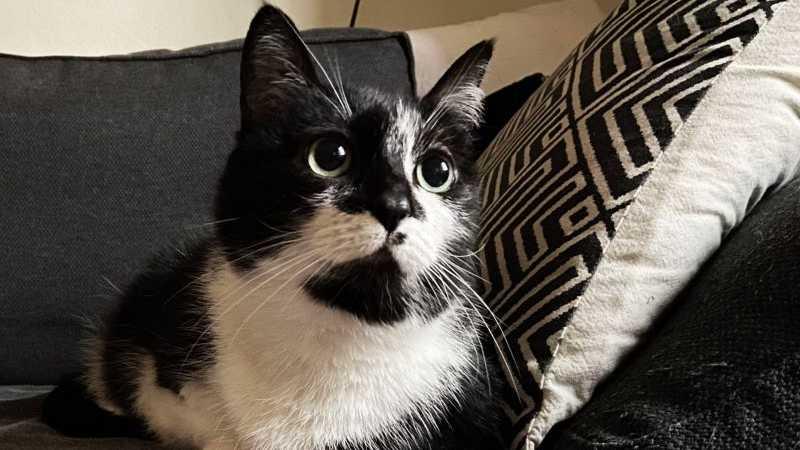 JFL昇格を争う地域CL2022、組み合わせが決定！グループAがすごいことに | ニコニコニュース