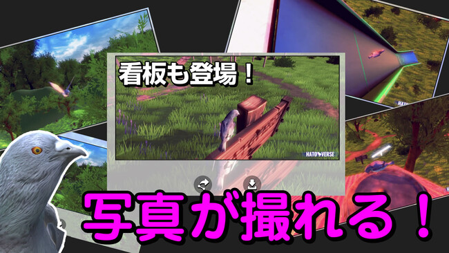 鳩のメタバース「ハトバース」に「写真が撮れる機能」搭載！うまくやるとシーソーから飛び乗れる「看板」も出現 10月23日 | ニコニコニュース
