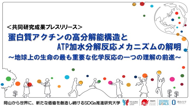 蛋白質アクチンの高分解能構造とATP加水分解反応メカニズムの解明 | ニコニコニュース