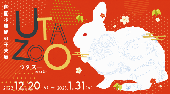 水族館ならではの「卯」を紹介！干支展「UTA ZOO（うたずー）～2023 卯～」開催中 | ニコニコニュース