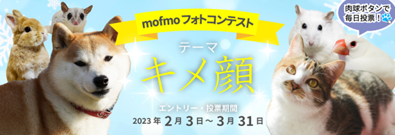 ペットのとっておきの「キメ顔」を自慢しちゃおう！mofmo（モフモ）フォトコンテストを開催！ランキング上位者には高級ペ | ニコニコニュース