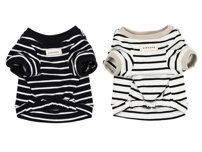 春らしい爽やかなボーダー柄のウェアが新登場！上品さと程よいカジュアルさを兼ね備えた万能アイテム「BORDER | ニコニコニュース