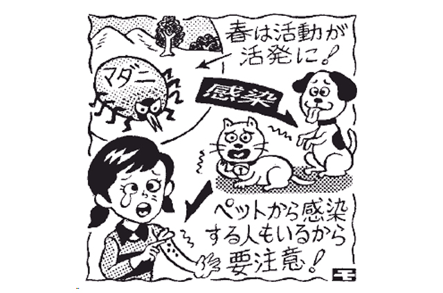 「SFTS」に要注意。ペットから感染する可能性も… | ニコニコニュース