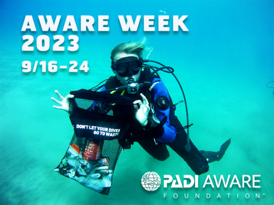 2023年9月16～24日は世界的なクリーンナップイベント強化週間「AWARE WEEK | ニコニコニュース