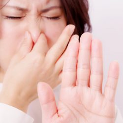 弁当から悪臭が！原因と対策はあるの？ | ニコニコニュース