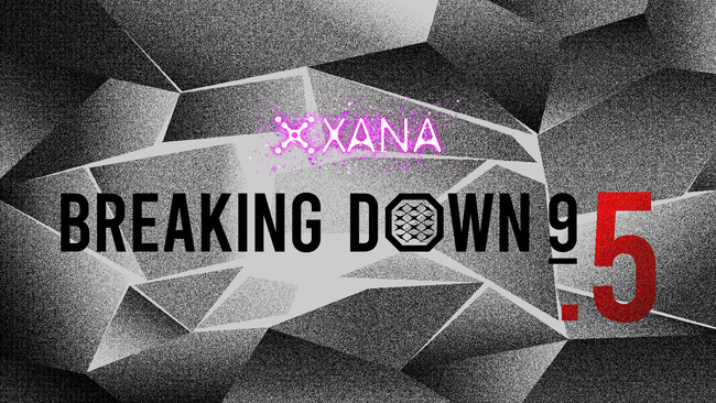 XANA presents BreakingDown9.5の対戦カード決定！ | ニコニコニュース