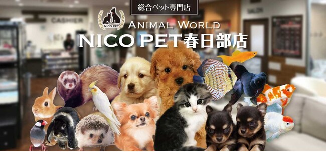 スーパービバホーム春日部店に総合ペット専門店のNICO PETをオープン | ニコニコニュース