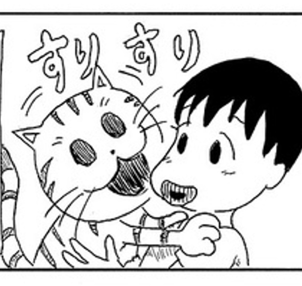 「衝撃を受けた野良猫たちの風習とは？」 バッドボーイズ清人が描く家族の物語「おばあちゃんこ」【作者に聞いた】 | ニコニコニュース