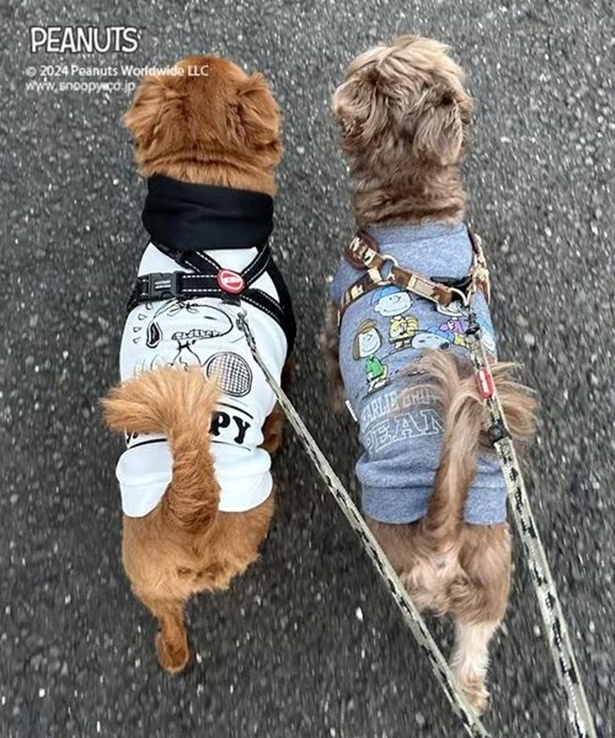 LEPSIM×PEANUTSが春のコラボ！今年はワンちゃんと「スヌーピー」コーデが楽しめる | ニコニコニュース