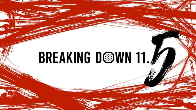 『BreakingDown11.5』の対戦カード決定！今大会より、PPV＆100席限定の会場チケット販売がスタート | ニコニコニュース