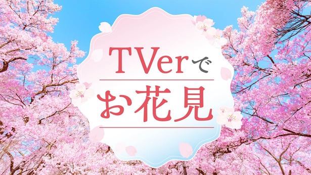 TVerにて「お花見特集」が開催 千原ジュニア＆佐久間宣行が春の食材を堪能するグルメ番組ほか、春を感じる番組の無料配信 | ニコニコニュース
