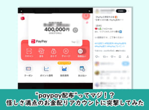 “paypay配布”ってマジ！？怪しさ満点のお金配りアカウントに突撃してみた | ニコニコニュース