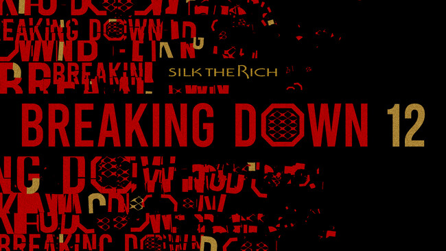 『SILK THE RICH presents BreakingDown | ニコニコニュース