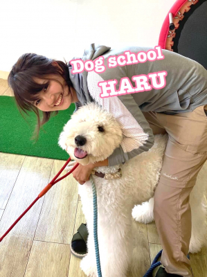 Dog School HARUから現役ドッグトレーナーが宮崎学習センターに来校決定！ | ニコニコニュース
