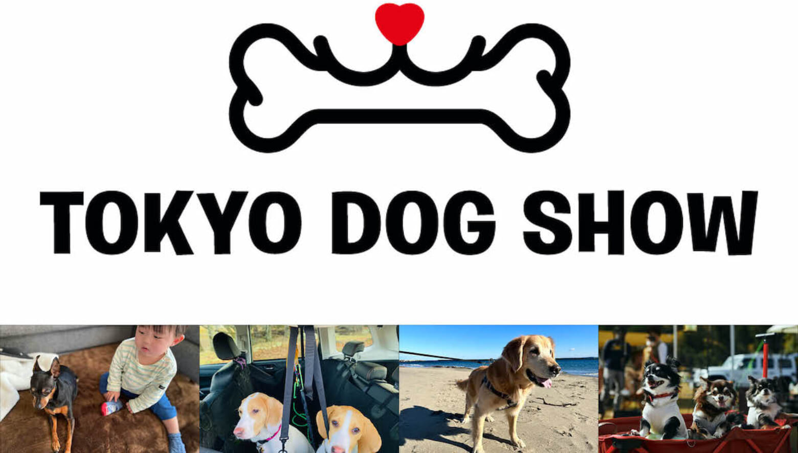 TOKYO DOG SHOWも開催間近！ | ニコニコニュース