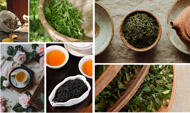 今年の喫茶来（きっさこ）もセミナーやワークショップが充実！お茶をあらゆる角度から体感しよう、お茶の造詣を深める3日間 | ニコニコニュース