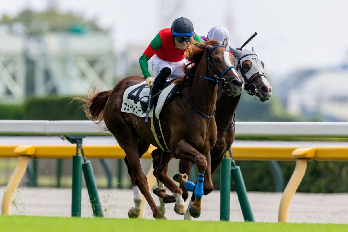 【東京3R】単勝16番人気フェーダーローターが波乱を演出 | ニコニコニュース