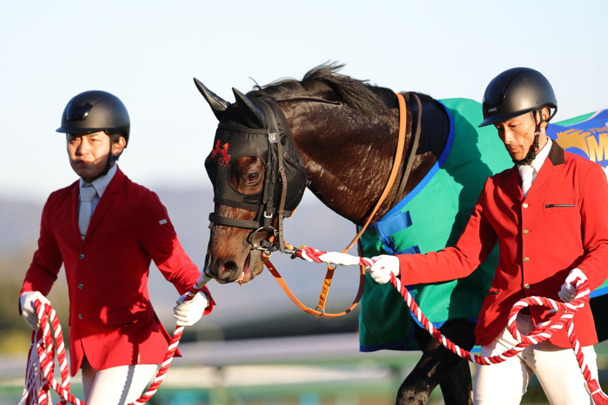 WIN5は2575票的中の払戻し…マイルCSはジャンタルマンタルがV | ニコニコニュース