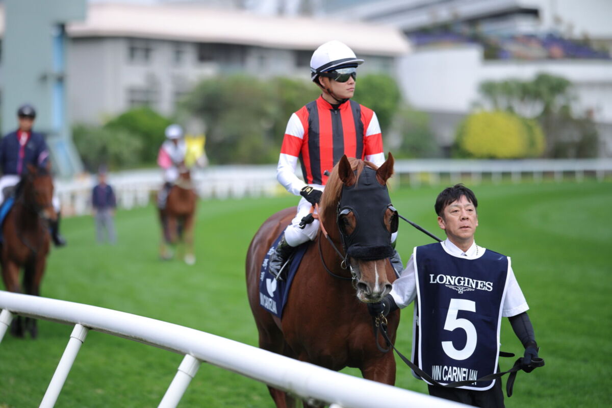 【香港スプリント】三浦「非常に悔しいです」ウインカーネリアンは11着 | ニコニコニュース