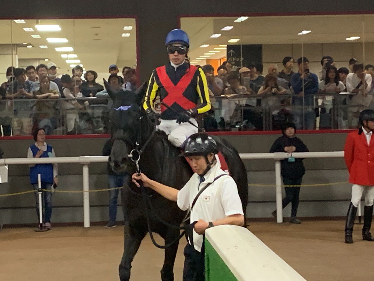 【京王杯SC】武豊リナーテが惜しい2着 | ニコニコニュース