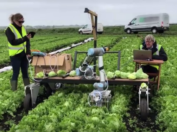 収穫の是非を自動で判断！ レタスの収穫ロボット「Vegebot」を英ケンブリッジ大学が開発 | ニコニコニュース