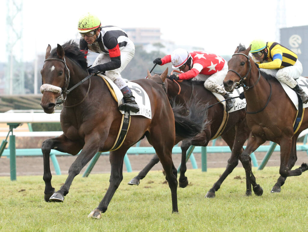 【新馬/中山6R】エピファネイア産駒 カレンレベンティスがデビューV | ニコニコニュース